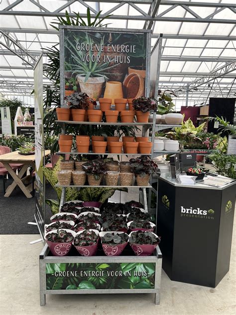 Bricks Shelf Display Bricks Presentation