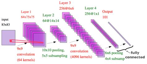 Classification Using Convolutional Neural Networks