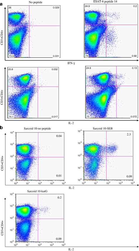 Cd4 T Cells Are Primarily Responsible For The Sarcoidosis Systemic