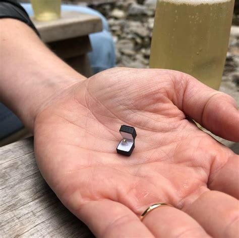 These Cute And Tiny Objects Will Make Your Heart Melt