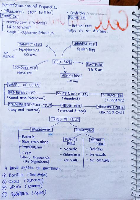 Solution Ch Cell The Unit Of Life Class 11 Neet Best Handwritten Notes