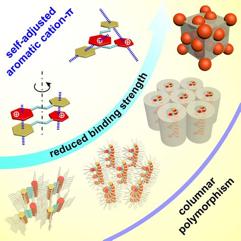Self Adjusted Aromatic Cation π Binding Promotes Controlled Self Assembly Of Positively Charged