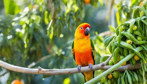 Sun Conure Care Guide Tips And Facts Revealed