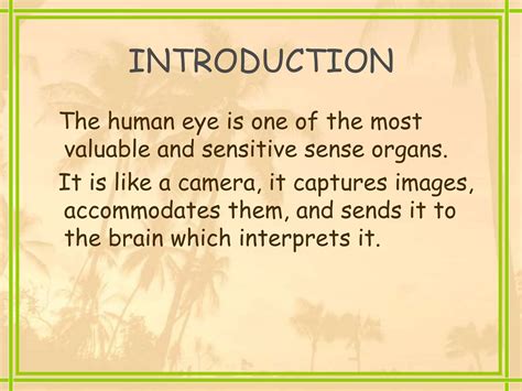 94955904 Human Eye Presentationpptx Human Eye Ppt
