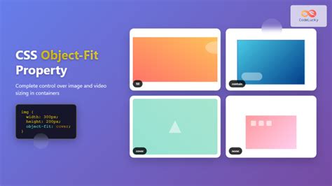 Css Object Fit Property Mastering Image And Video Scaling Codelucky