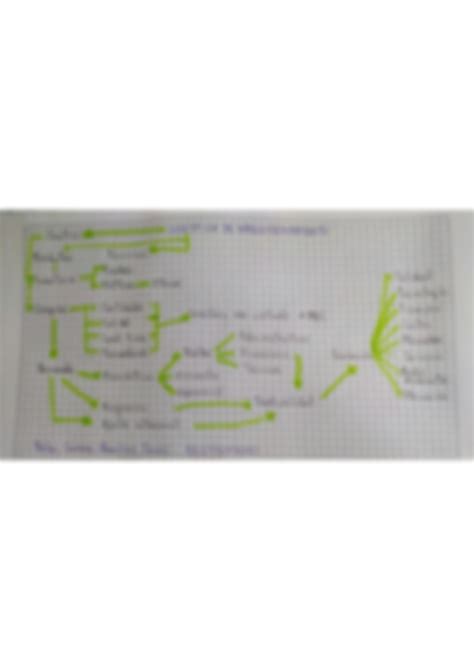 Solution Mapa Mental Studypool