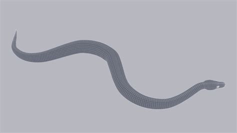 Animated Scrub Python 3d Model By Dibia Digital
