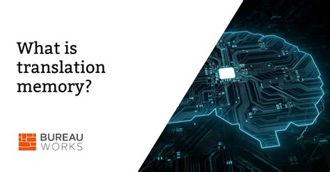 What Is Translation Memory Software