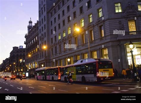 multiple buses can fit one stop · issue 1691 · citiesskylinesmods tmpe