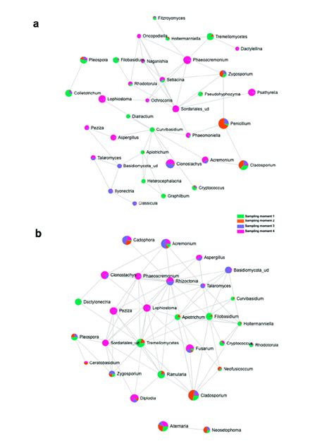 Sparcc Correlation Analysis At The Genus Level Among Sampling Moments