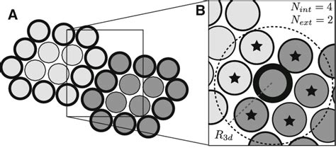 conceptual sketch of the membrane detection algorithm in 3d a thick