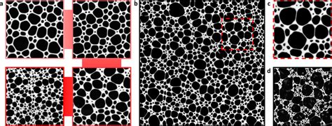 Foamed Emulsion Structure A Sample Structure After 96 H At Different ϕ