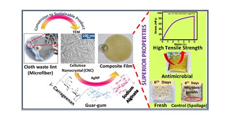 Ag Nanoparticle Incorporated Guar Gum Sodium Alginate I Carrageenan Tribiopolymer Blended Cloth