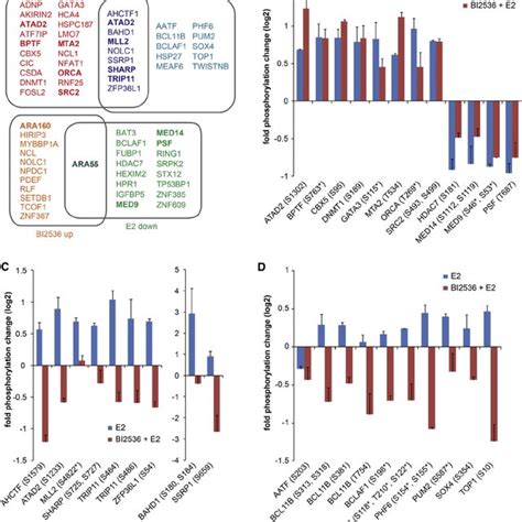 Plk1 Coactivates Er Target Gene Expression Download Scientific Diagram