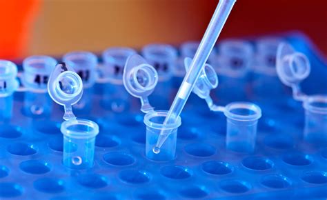 Citizen Science And Genetic Testing Yield Positive Results David Suzuki Foundation