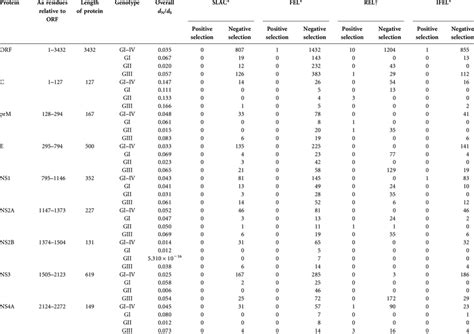 Evidence For Positive And Negative Selection Using Four Detection