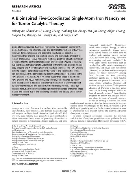 A Bioinspired Five‐coordinated Single‐atom Iron Nanozyme For Tumor