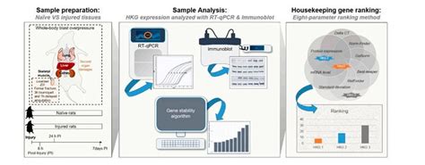 Methods And Protocols Mdpi On Linkedin Callforreading
