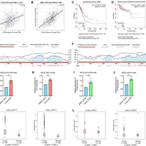 Tcf4 Was Identified As A Potential Transcription Factor That Mediates