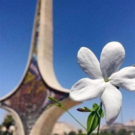 ‫ياسمين الشام Home Facebook‬