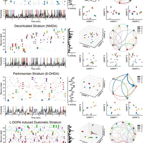 Identification Of Neuronal Ensembles From Calcium Imaging Experiments
