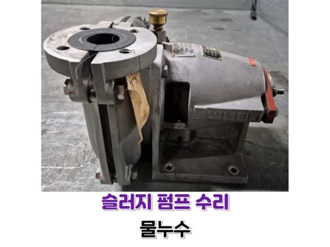 슬러리펌프물누수누수수리fg 40s립씰제작펌프 분해조립기타잡자재 스켈제거 압테스트안산펌프안산모터 네이버 블로그 슬러리펌프물누수누수수리fg 40s립씰제작펌프 분해조립기타잡자재 스켈제거 압테스트안산펌프안산모터 네이버 블로그