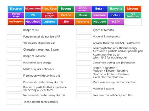 Particle Physics Match Up