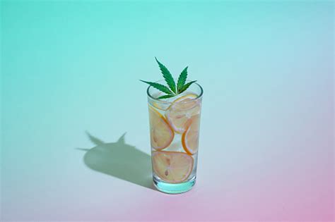 네온은 그라데이션 색상 배경에 얼음 레몬 조각 마리화나 잎이 있는 물 한 잔을 밝혔습니다 최소한의 메타버스 여름 개념 칵테일에 대한 스톡 사진 및 기타 이미지 Istock