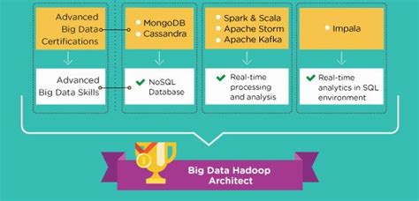 Career Path Explained Big Data Hadoop Developer To Architect Kdnuggets