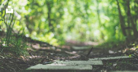 낮 동안 회색 콘크리트 슬래브의 근접 촬영 사진 사진 Unsplash의 무료 풀 이미지