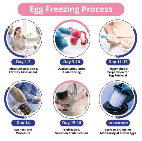 Egg Freezing Procedure Costs And Benefits