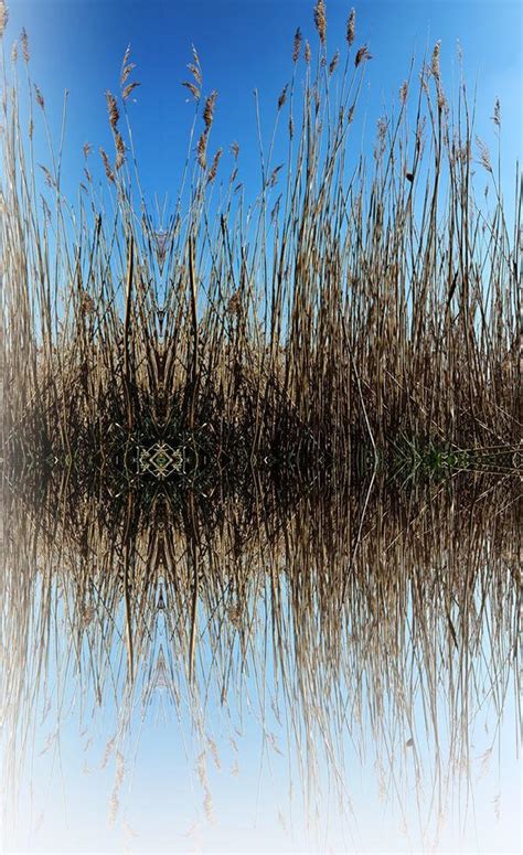 7ng By Dylskyok On Deviantart