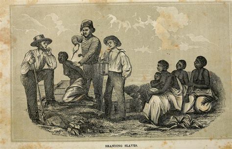 An Overview Of The Trans Atlantic Slave Trade