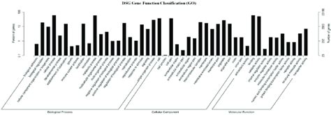 Functional Annotation And Classification Of Assembled Unigenes In S