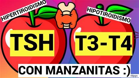 Descubre Los Mejores Métodos Para Activar La Hormona T3 ¡optimiza Tu