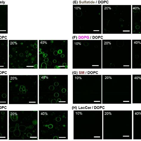 A Illustration Of The Fluorescence Turn On Of Dansyl Arg 3 Ome On