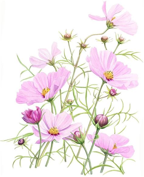 작가되기19 수채화로 꽃 그리기 Watercolor Flower Art Flower Drawing Watercolor
