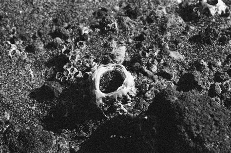 Algorithm Data Structure Photos Download The Best Free Algorithm Data