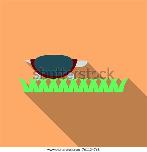 Turtle Turtle Shell Grass Flat Design Stock Vector Royalty Free