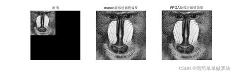 基于fpga的图像最近邻插值算法verilog实现 包括tb测试文件和matlab辅助验证 简简单单做算法 博客园