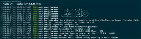 cli vs desktop documentation