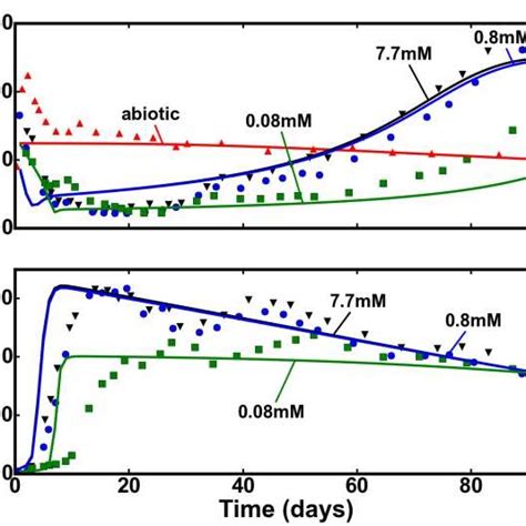Pdf Numerical Modeling Of Arsenic Mobility During Reductive Iron Mineral Transformations
