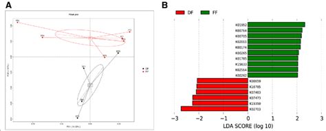 two dimensional principal component score plot based on the unweighted