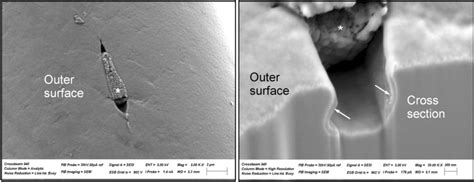 scanning electron microscopy image of a particle void assembly taken