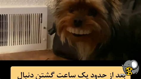 وقتی تو خونه یک سگ داشته باشی و یه دندون مصنوعیِ بابابزرگ فیلو