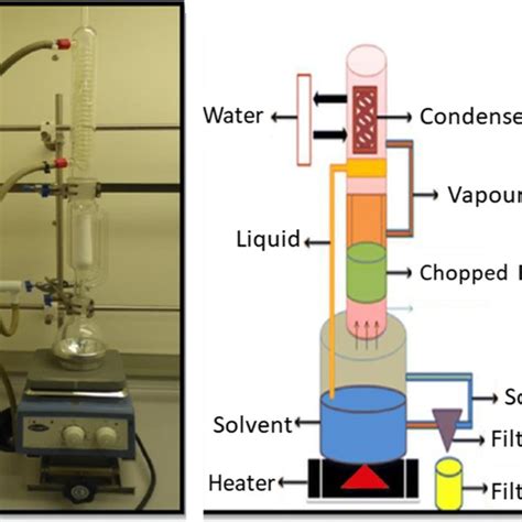 Conventional Transesterification Process Download Scientific Diagram