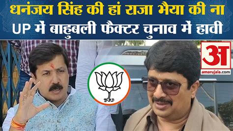 Loksabha Elections 2024 Bahubali Factor In Up Whom Are Dhananjay Singh And Raja Bhaiya