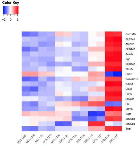 Gene Expression Heatmap At Layla Cantamessa Blog