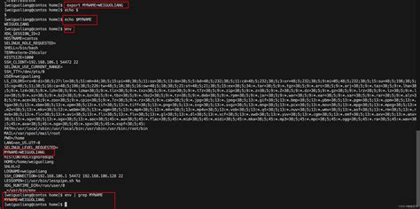Linux 基础知识day01 Csdn博客 Linux 基础知识day01 Csdn博客