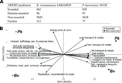 Distribution Of Genes Significantly Impacting Bacterial Fitness In A